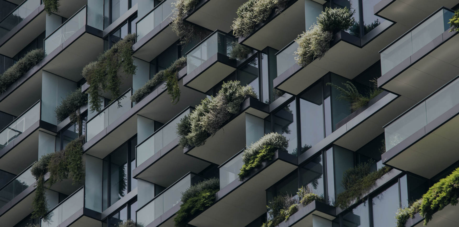 About the ASBC - Australian Society of Building Consultants NSW